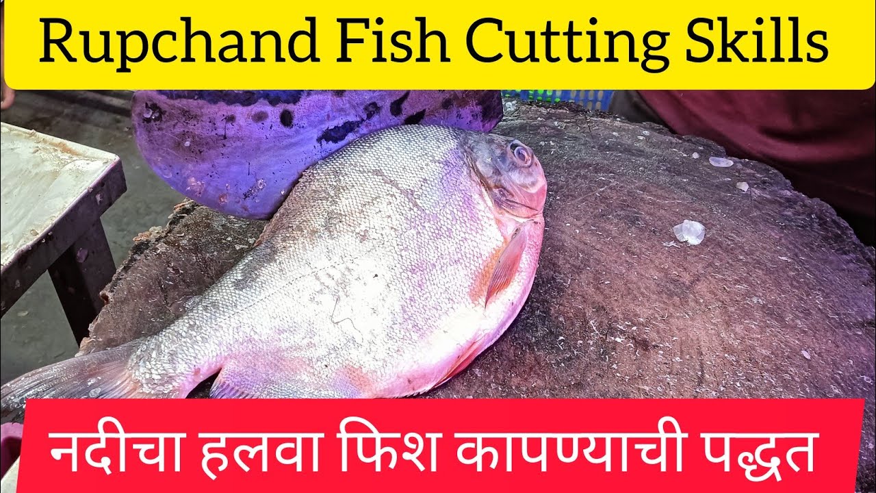 RUPCHAND FISH SLICE CUTTING / Fish Cutting Technique / Fish Cutting ...