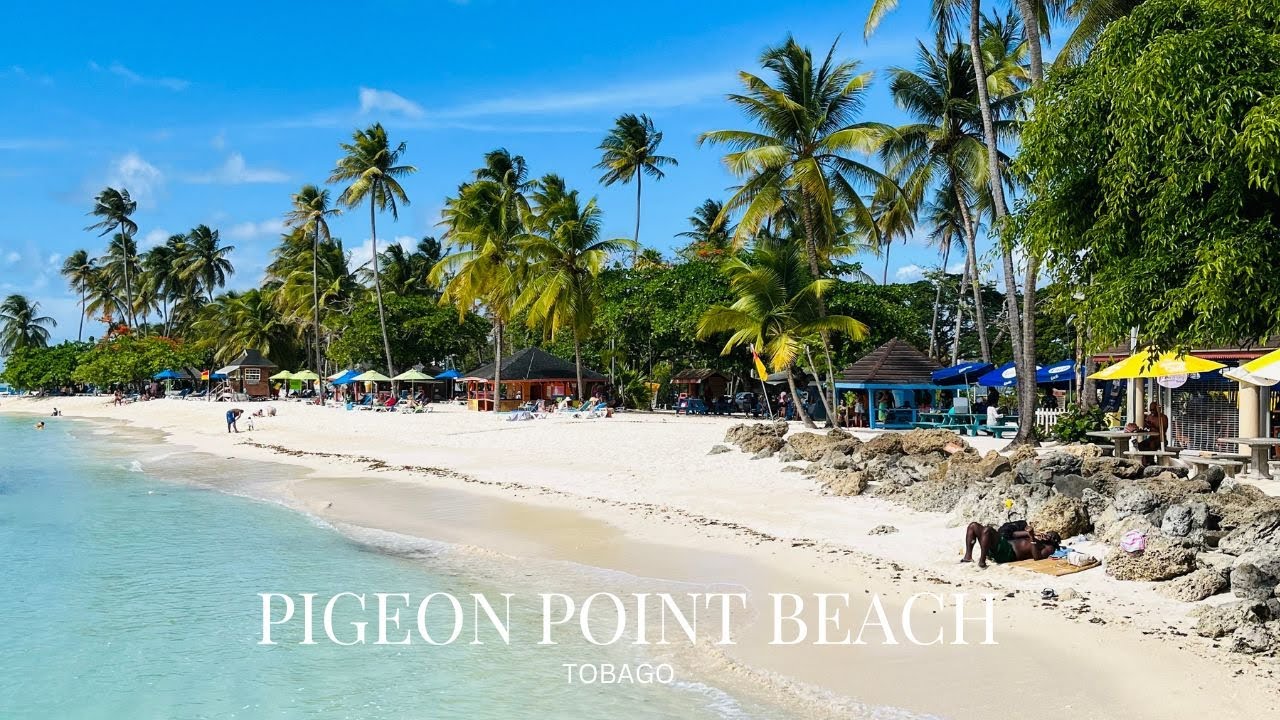 Escape to Tobago's Hidden Gem: Pigeon Point Beach Drone View - YouTube