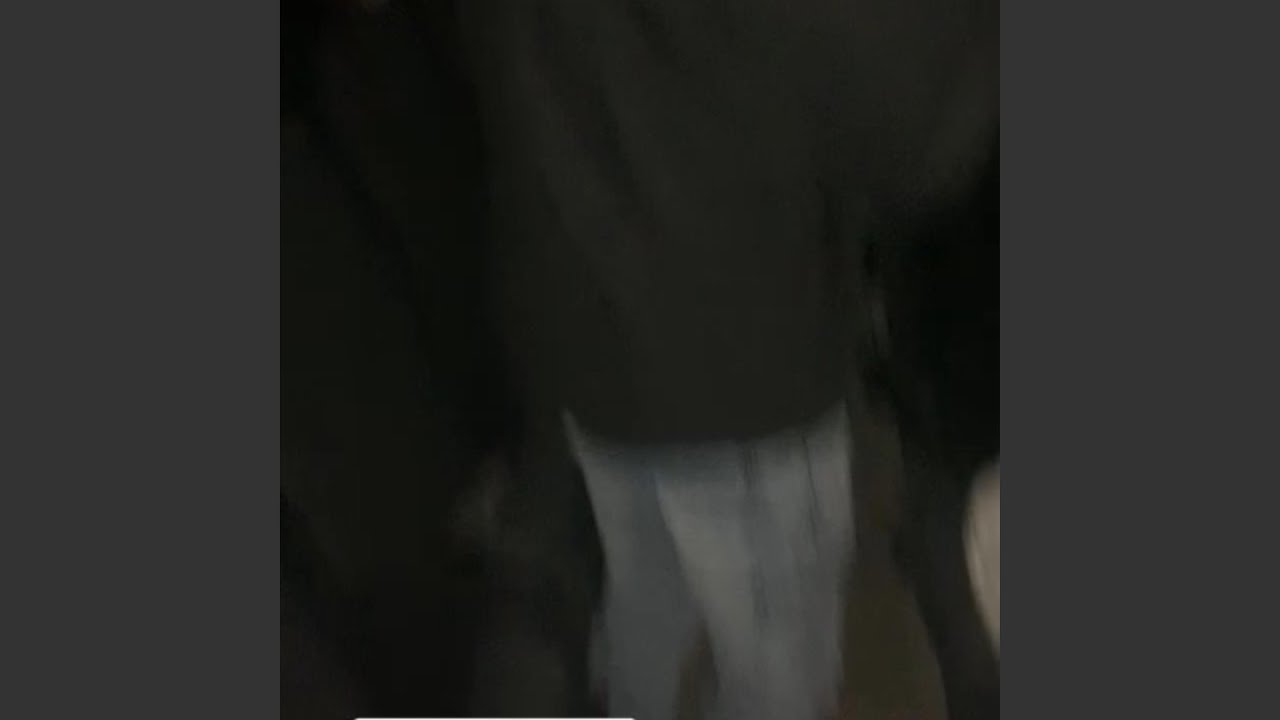 Runnin laps (feat. LiKavo & Luhmelloo) - YouTube