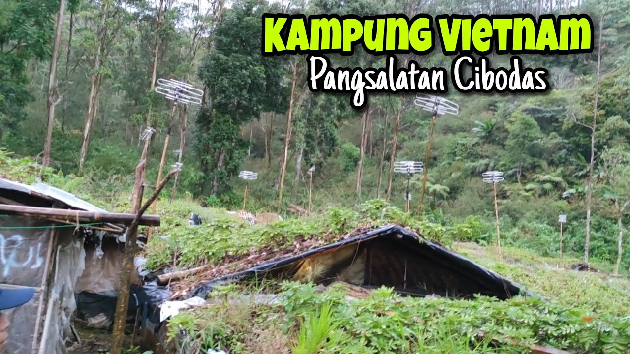 Kampung Di Tengah Hutan, Di Kaki Gunung Gede Pangrango Taman Cibodas ...