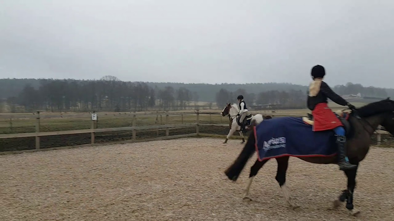 Jay i paddock - YouTube