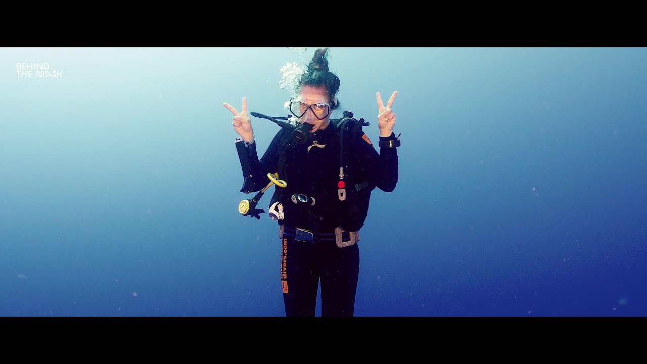 The ‘Superior’ Red Sea! Sharks, dolphins and smiley divers - YouTube