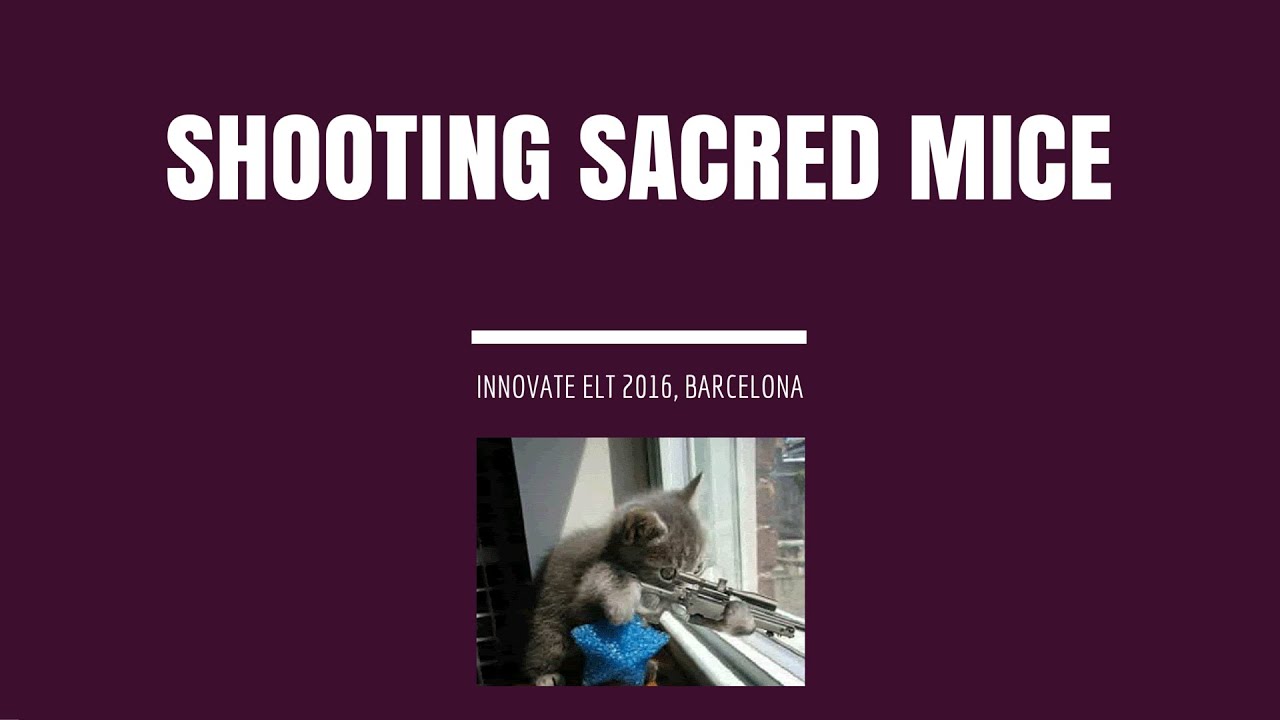 Invasion of the LOLcats! Shooting Sacred Mice in ELT... - YouTube