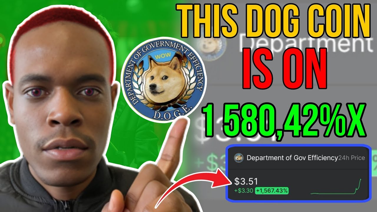 Doge Coin friend Department Of Government Efficiency coin on 1 580,42%X ...