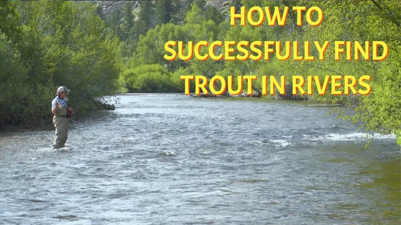 Reading the Water to Successfully Locate Trout - YouTube