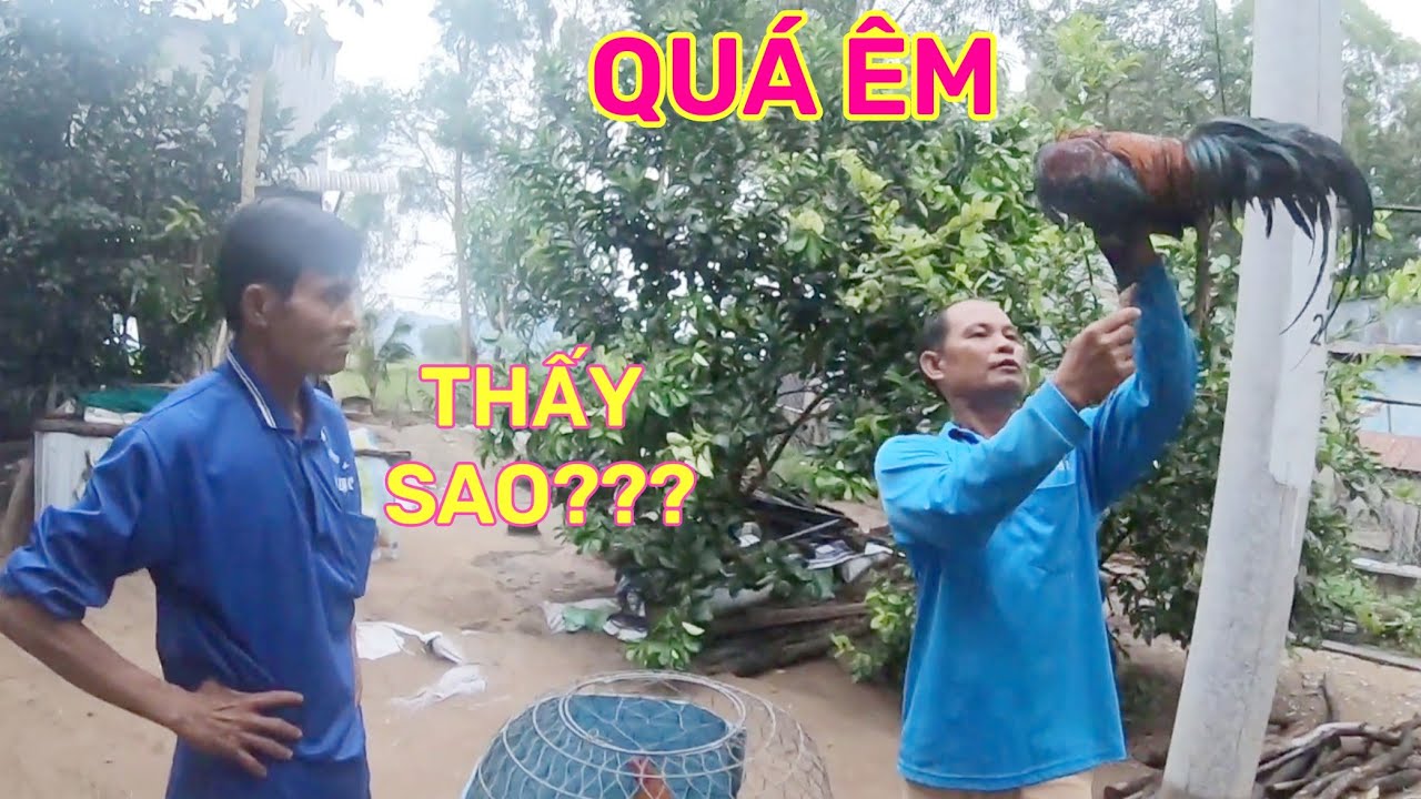 ANH BA VÀ BÀ HÀNG XÓM TỚI CÔNG CHUYỆN VỚI TÚ ĐƠ VÌ... - YouTube