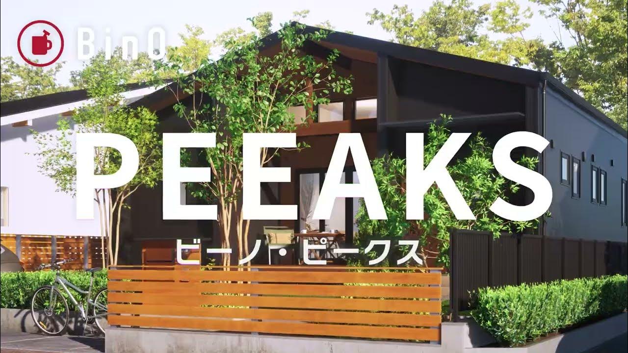 新商品【BinO】PEEAKS【ロフトを楽しむ平屋】 - YouTube