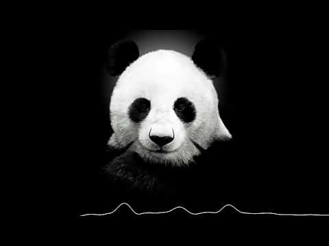 Cygo panda