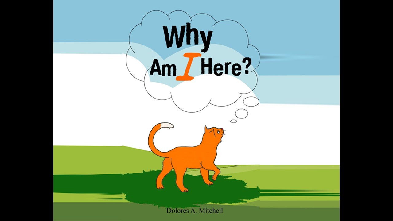 Cat- Why AM I Here? (kids books read aloud) - YouTube