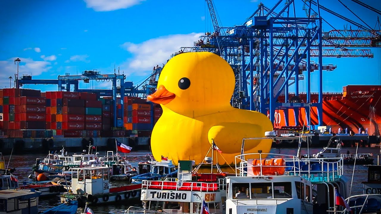 EL PATO DE HULE RESUCITÓ EN VALPARAÍSO - YouTube
