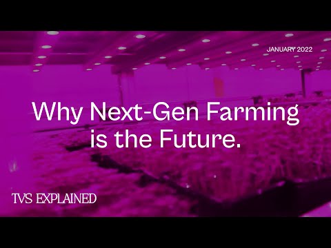 Next Gen Farming is the Future: Vertical Farming - YouTube