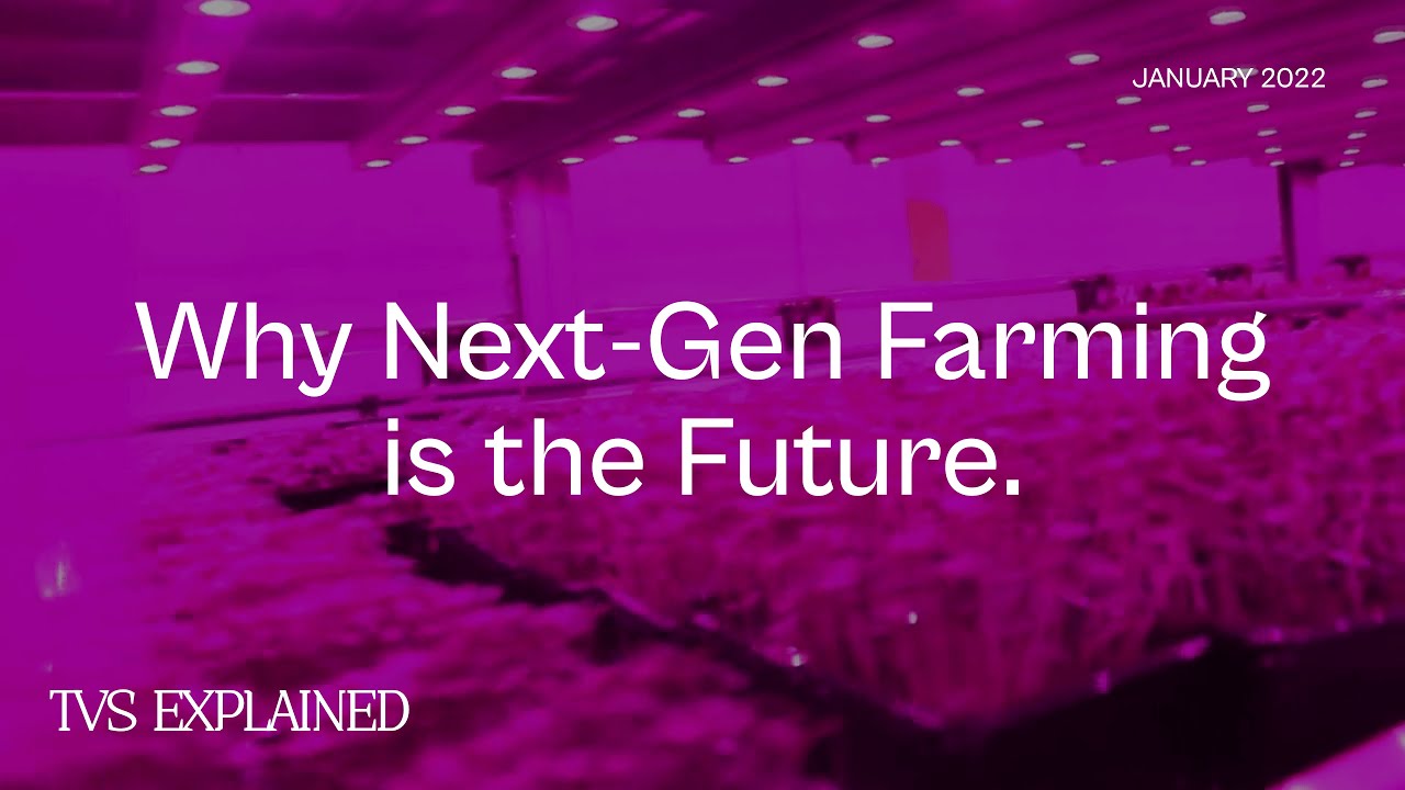 Next Gen Farming is the Future: Vertical Farming - YouTube