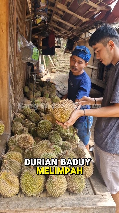 Durian lokal baduy melimpah #shorts - YouTube