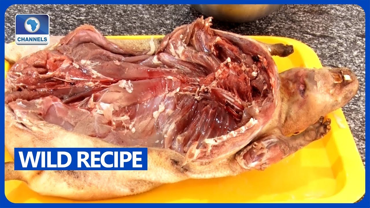 How To Cook Cane Rat Casserole In Red Wine - YouTube