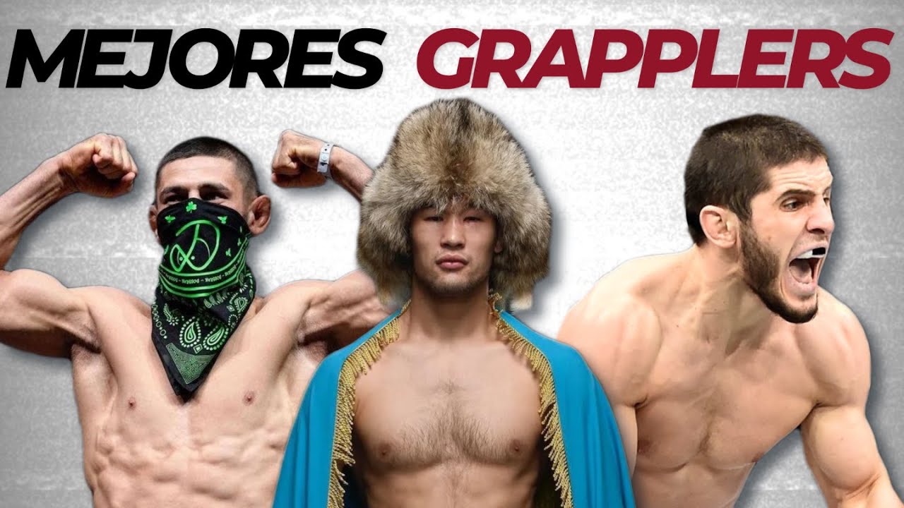 MEJOR GRAPPLER DE CADA DIVISION DE PESO EN LA UFC!!! - YouTube