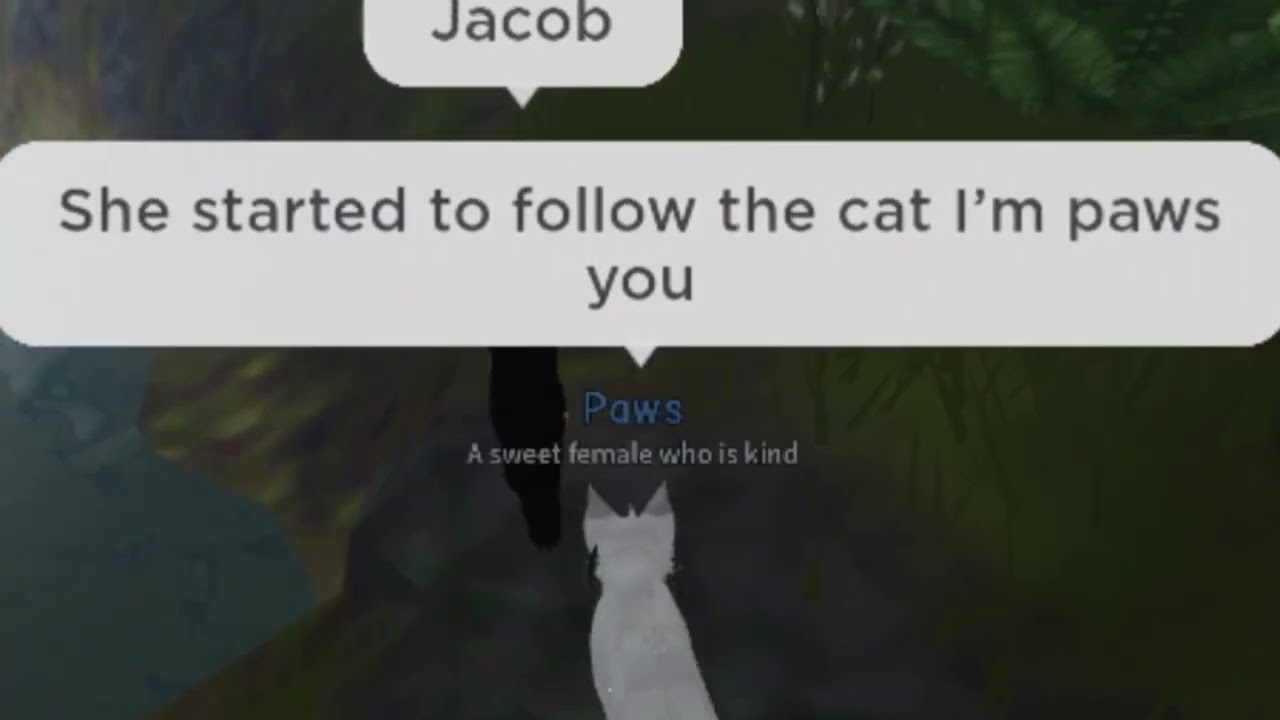 PAWS || wcue movie || - YouTube