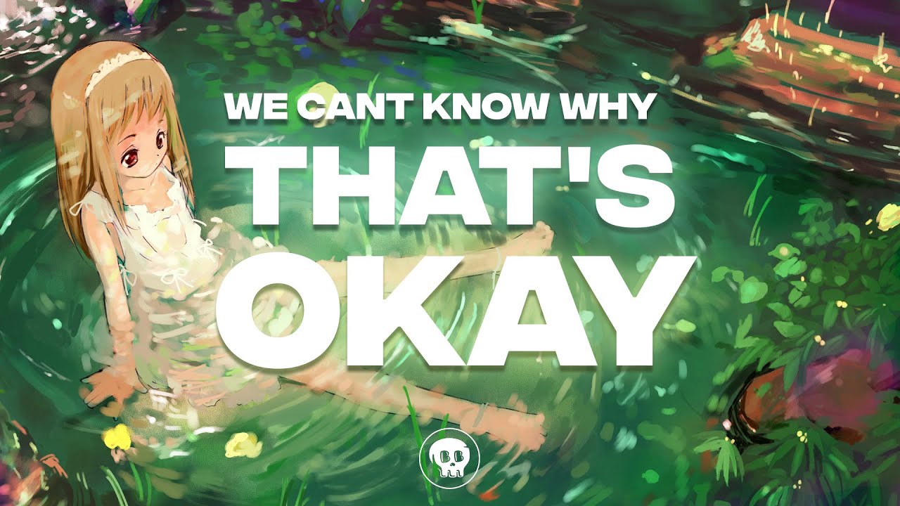 We Can't Know Why - That's Okay - YouTube