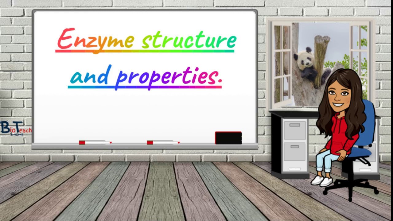 Enzymes A level Bio/BTEC Applied Science - BioTeach - YouTube