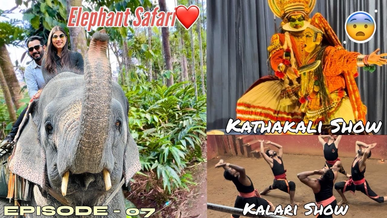 We did Elephant Safari and enjoyed most famous kathakali and kalari ...