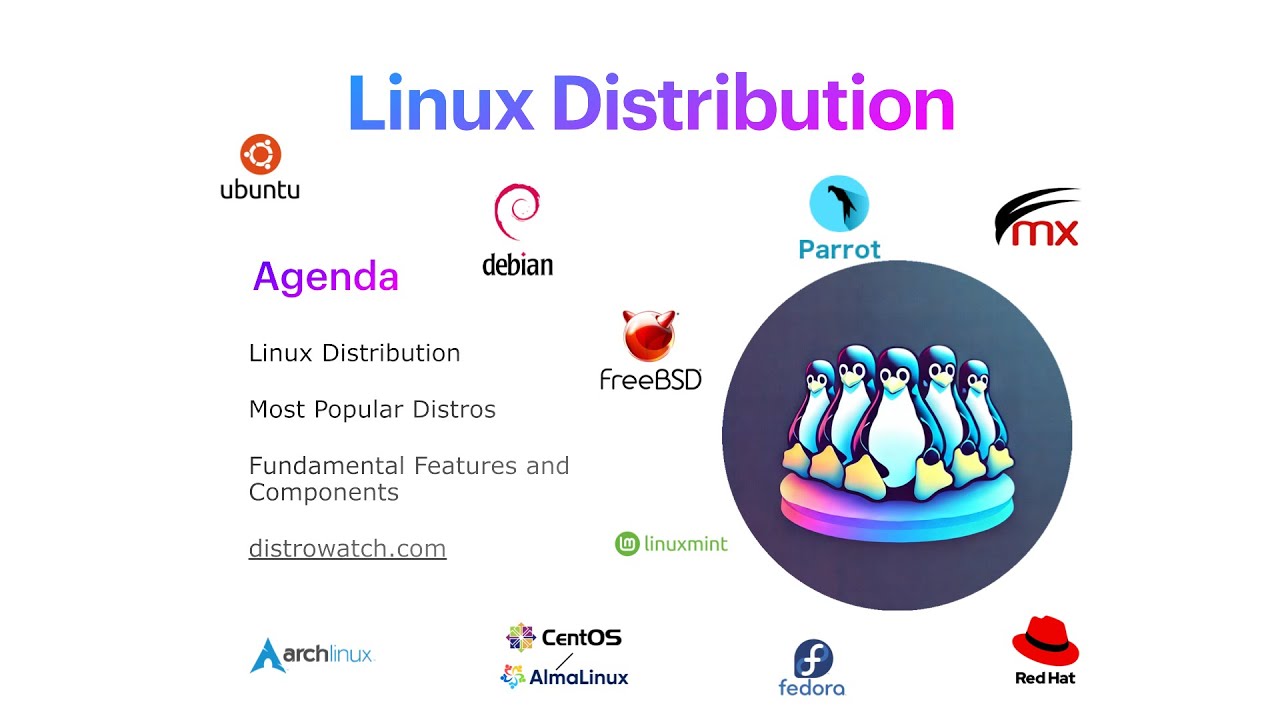 Top Linux Distributions Explained | Guide for Beginners & Experts - YouTube