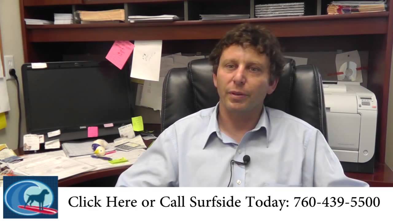 Meet Dr Gary Haver of Surfside Animal Hospital - YouTube