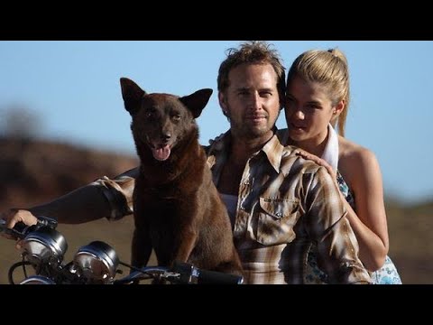 Red Dog is looking for John - YouTube