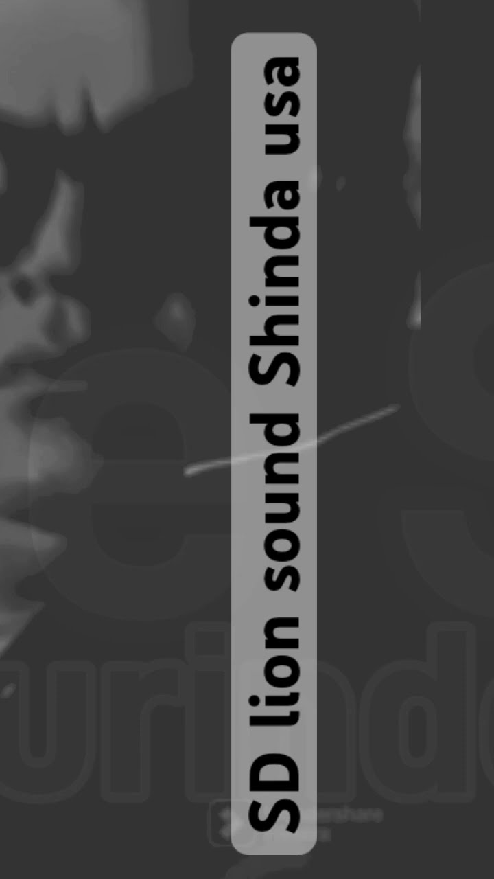 Lion Max Music - YouTube