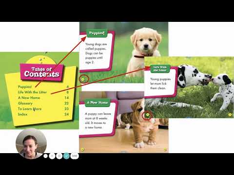 Nonfiction Text Features (Table of Contents & Headings) 11/9 - YouTube