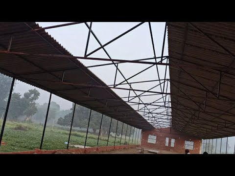 New layer poultry shed construction Part-4 poultry farm construction ...