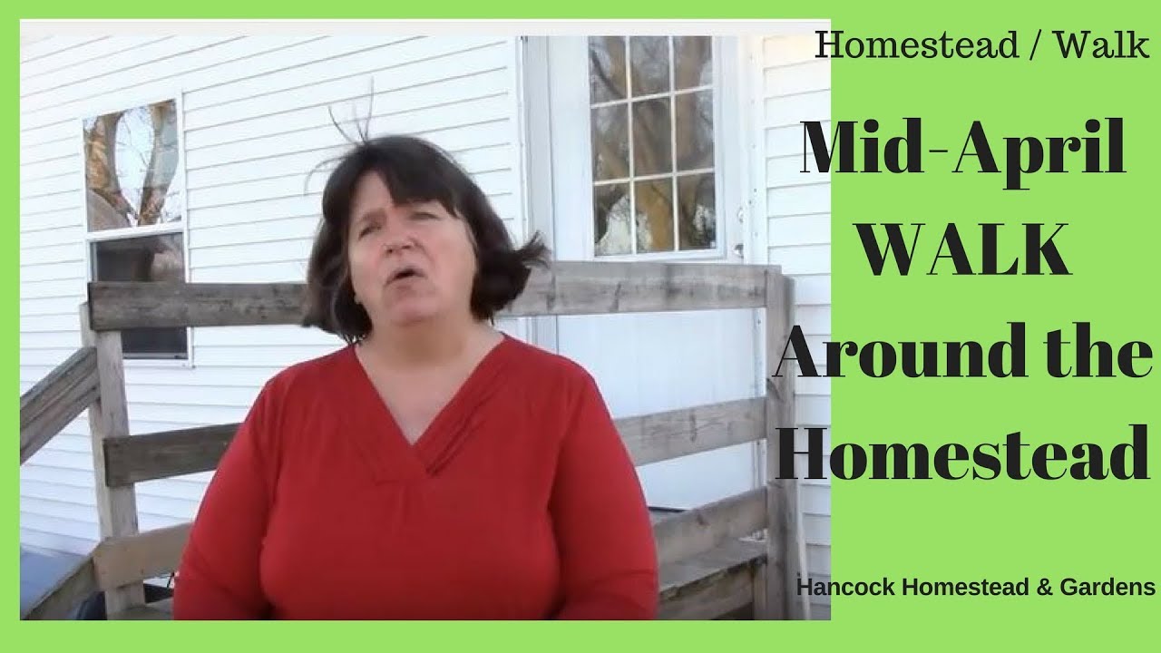 Homesteading Lifestyle: Mid-April Walk-Around the Homestead (VEDA 9 ...