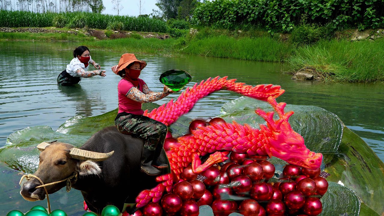 🎁😱Pry open the giant clam and slip out sparkling and enchanting pearls ...