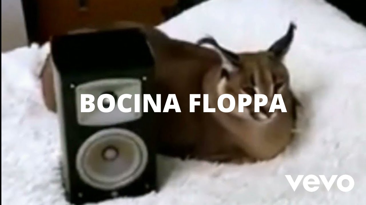 Floppa en El salvador - YouTube