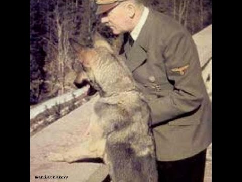 VERY RARE PHOTOS OF ADOLF HITLER WITH HIS DOG BLONDIE - maniac nanny ...