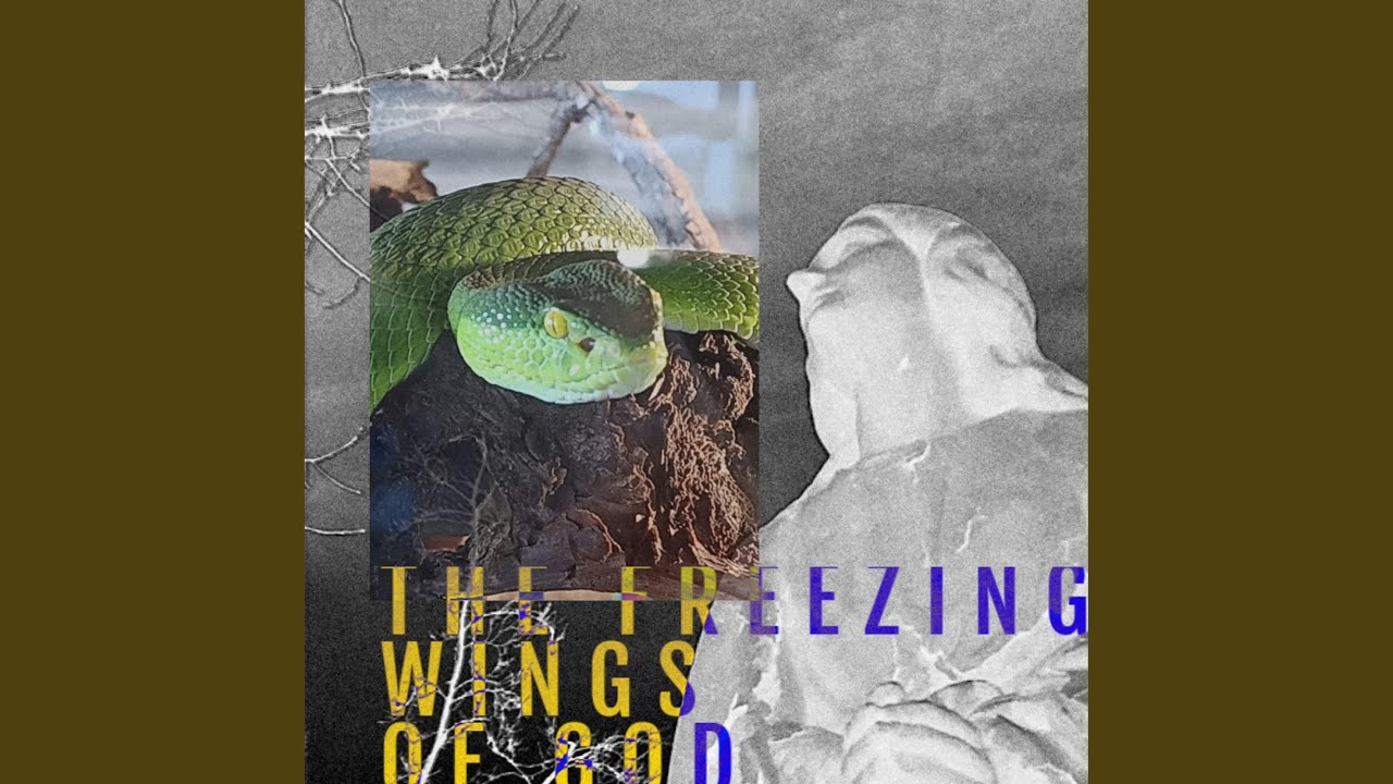 The Freezing Wings of God - YouTube