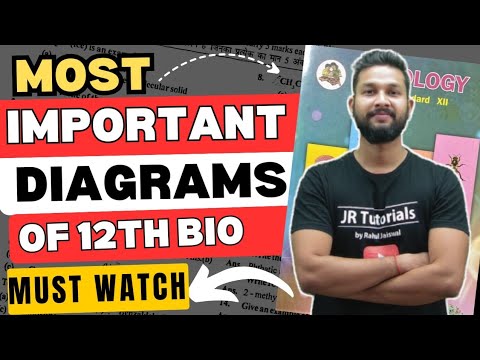Most Important Diagram Of 12th Biology | Board Exam 2024 | - YouTube
