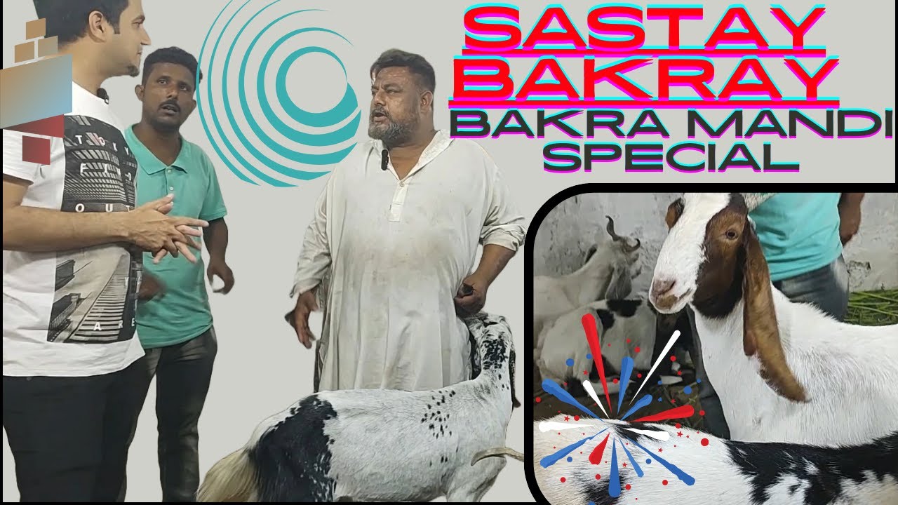 Bakra Mandi 2024 | Latest Update | Sastay Bakray | Arif Ghani World ...