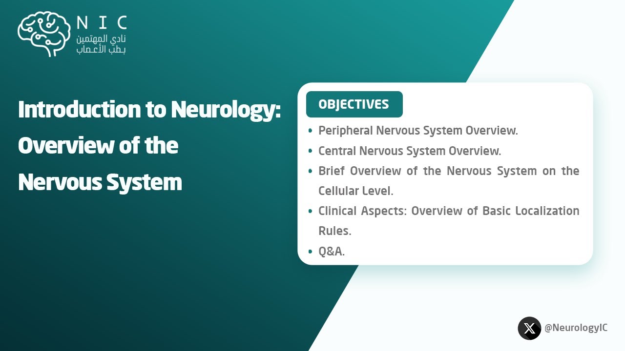 Introduction to Neurology: Overview of the Nervous System Dr. Abdulaziz ...