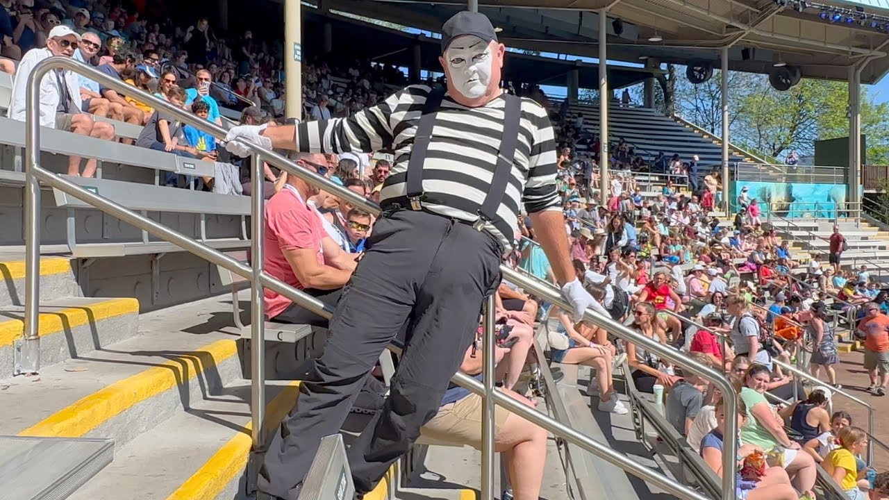 Laugh with Mime Tom at SeaWorld Orlando | Tom the Mime - YouTube