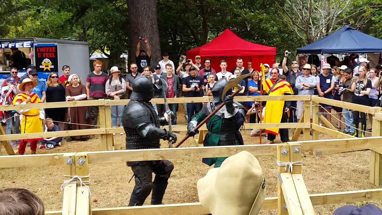 International Jousting Tournament 2015 / Individual Medieval Combat ...