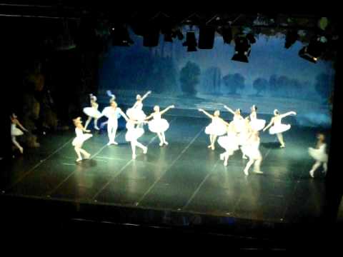 O Lago dos Cisnes (Swan Lake - Ending Scene) - YouTube