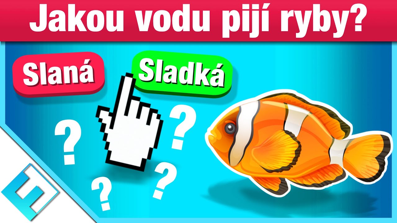 Pijou ryby vodu? A co s tělem ryb dělá Slaná a Sladká voda? - YouTube