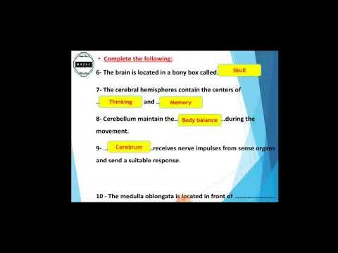 Science unit 4 l1 exercises 1 2 - YouTube
