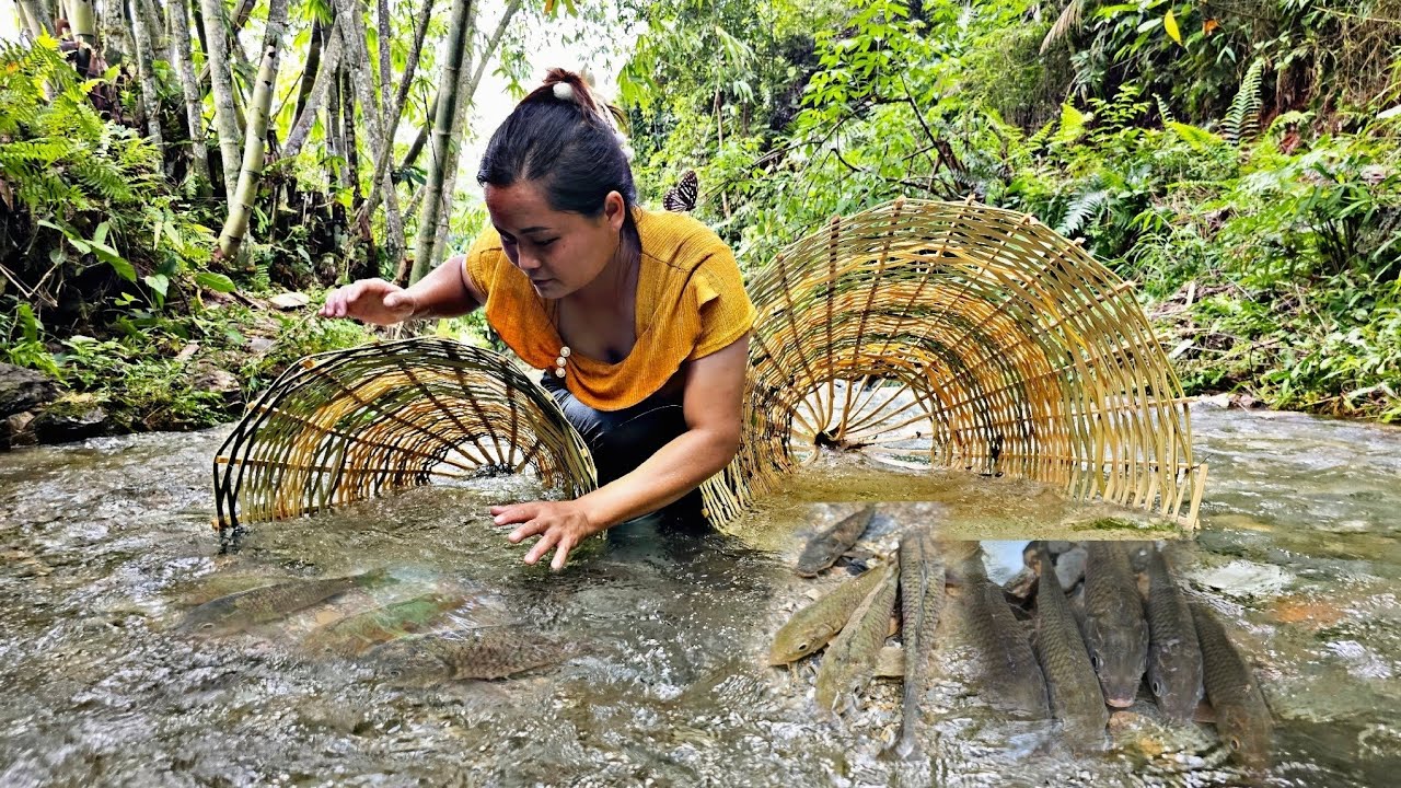Survive in the forest, weave trap baskets and harvest many freshwater ...