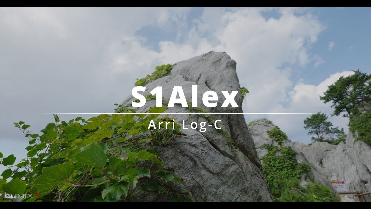 Lumix S5 || Arri Log-C (S1Alex) Color Grading (V-Log to Arri Log-C) C4K ...