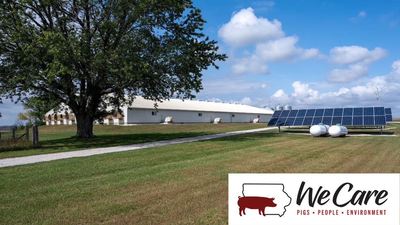 M&M Farms: Striving for Zero Waste - YouTube