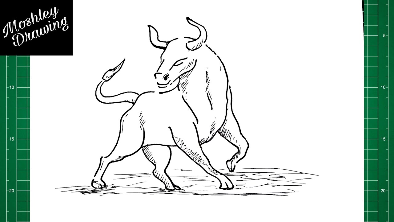 How to Draw a Bull Easy Step by Step - YouTube