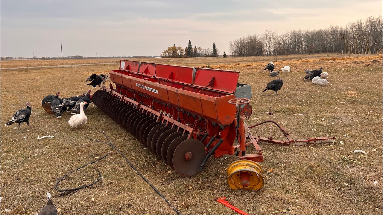 We bought a MASSEY FERGUSON 36 DISC HARROW!! - YouTube