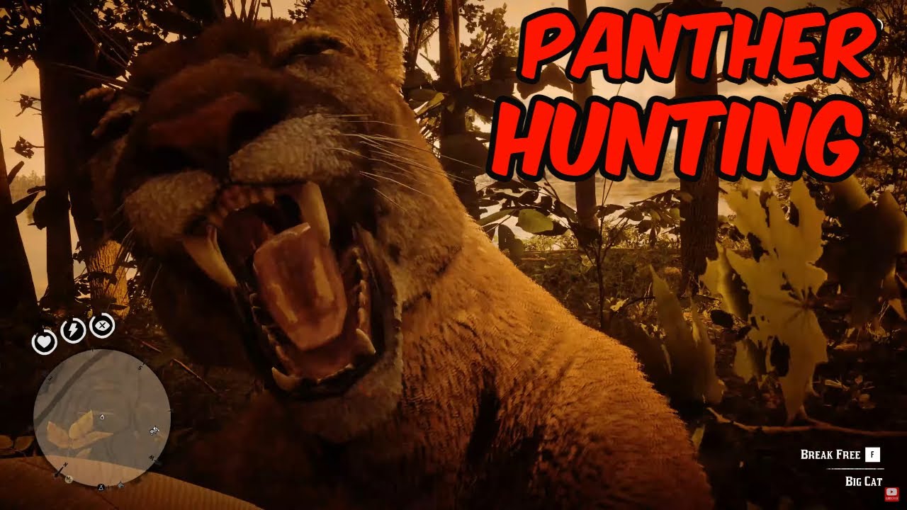 Panther hunting at night RDR2 - YouTube