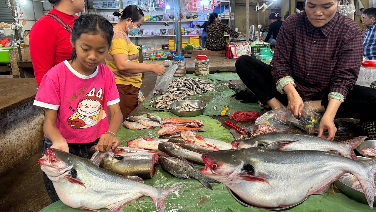 Market show : Chef Pich buy river fish and fresh ingredients for ...
