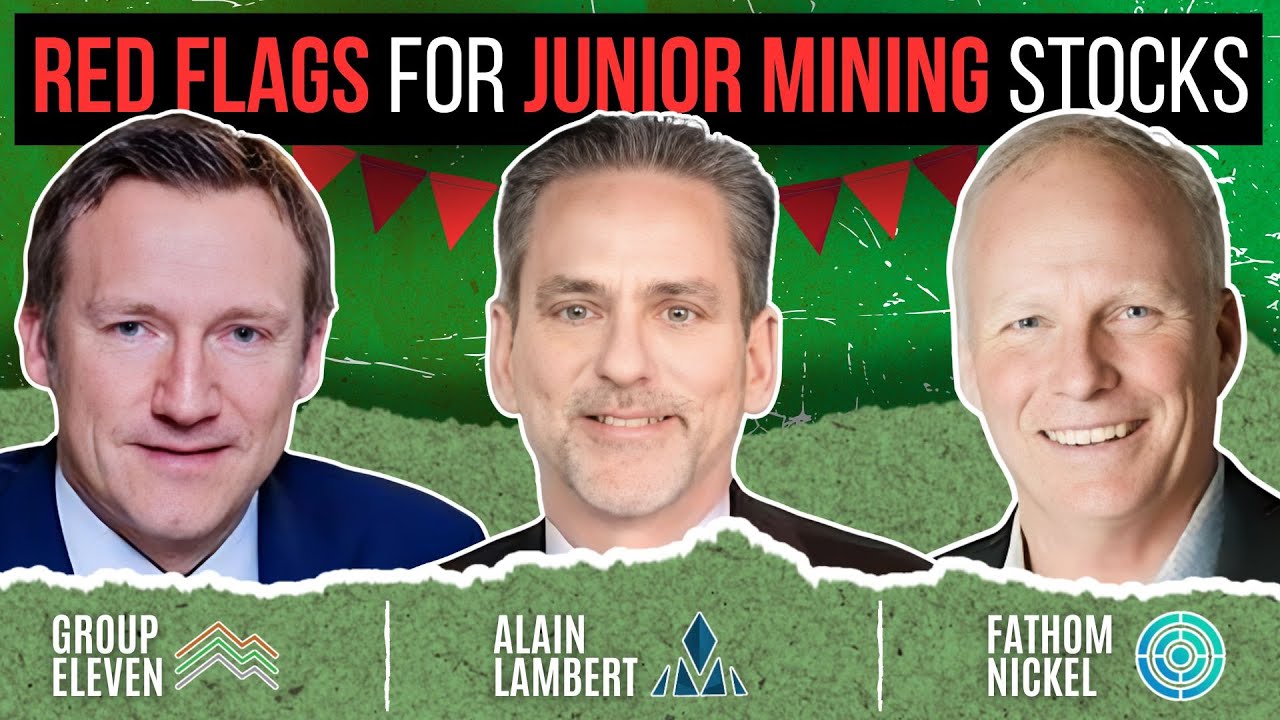 Junior Mining Red Flags, a New Zinc Discovery, and Some Nickel | Prismo ...